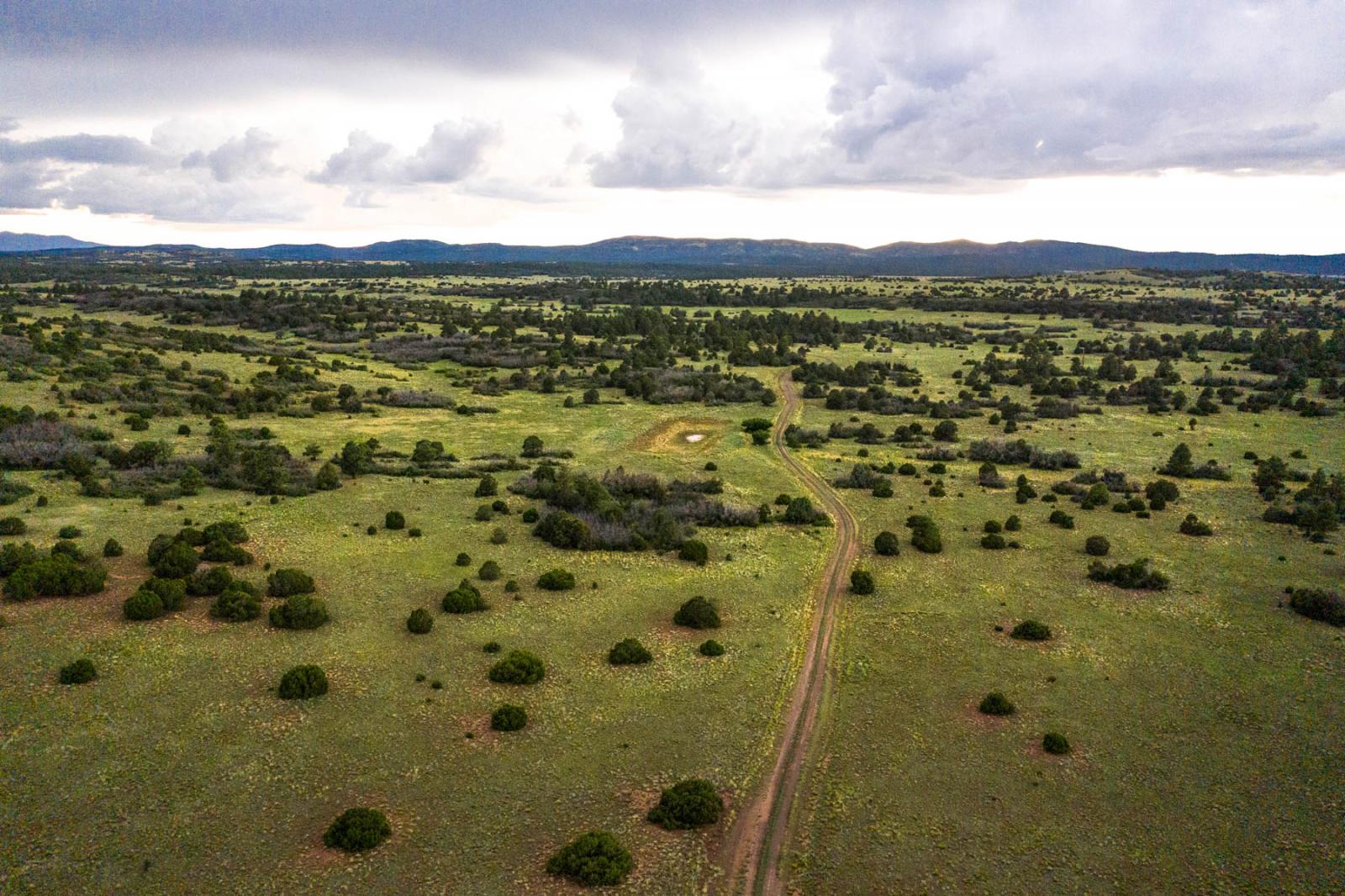 L Bar Ranch | Chas S. Middleton
