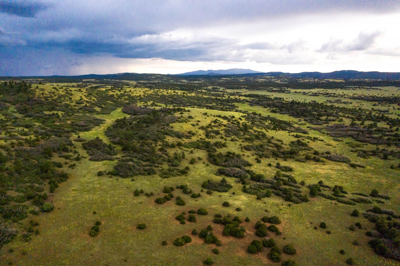 L Bar Ranch | Chas S. Middleton