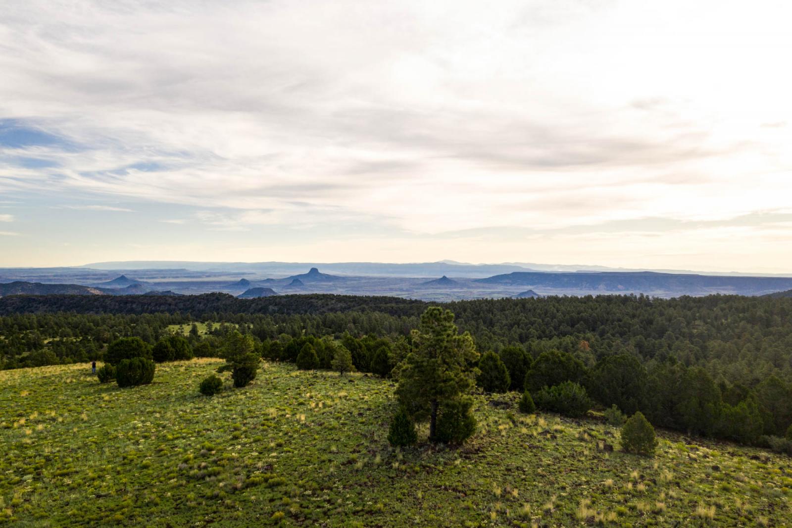 L Bar Ranch | Chas S. Middleton