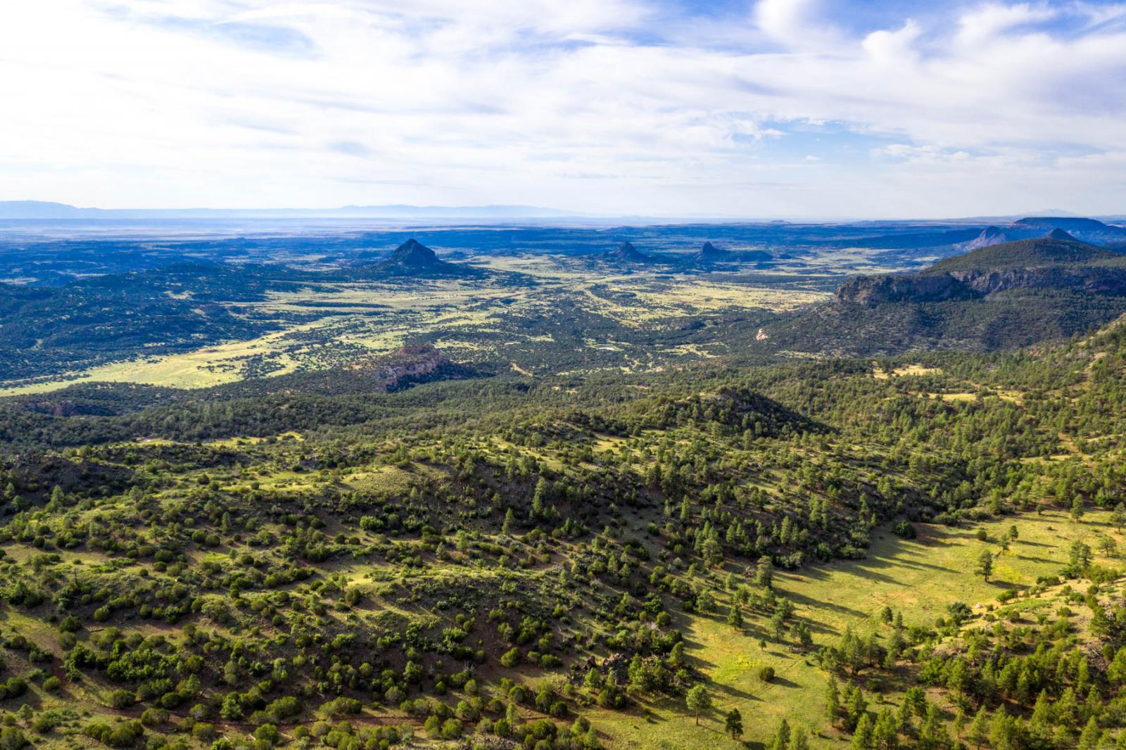 L Bar Ranch | Chas S. Middleton