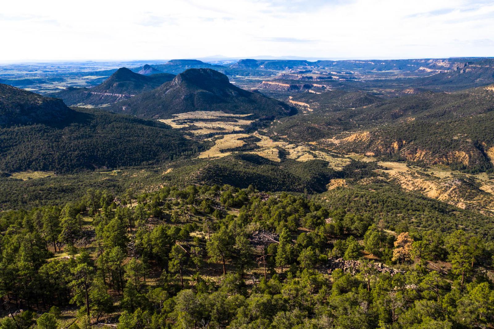 L Bar Ranch | Chas S. Middleton