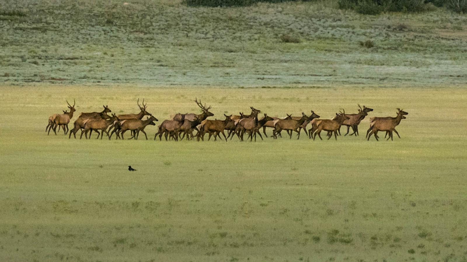L Bar Ranch | Chas S. Middleton