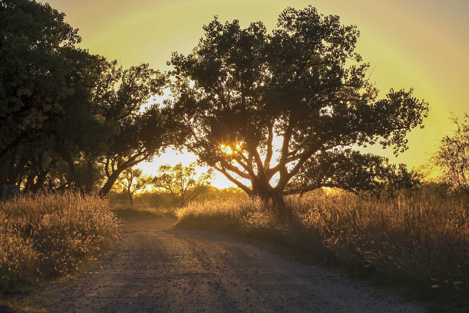 Boone Pickens' Mesa Vista Ranch | Chas S. Middleton