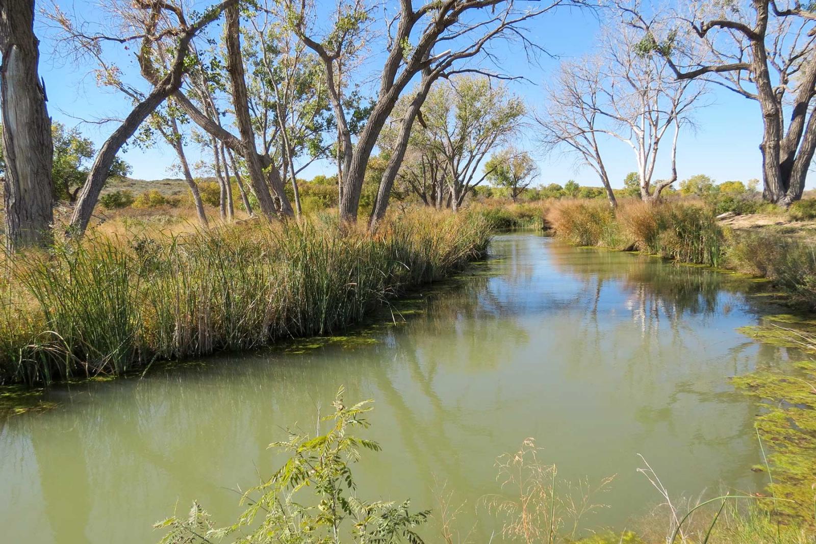Boone Pickens' Mesa Vista Ranch | Chas S. Middleton
