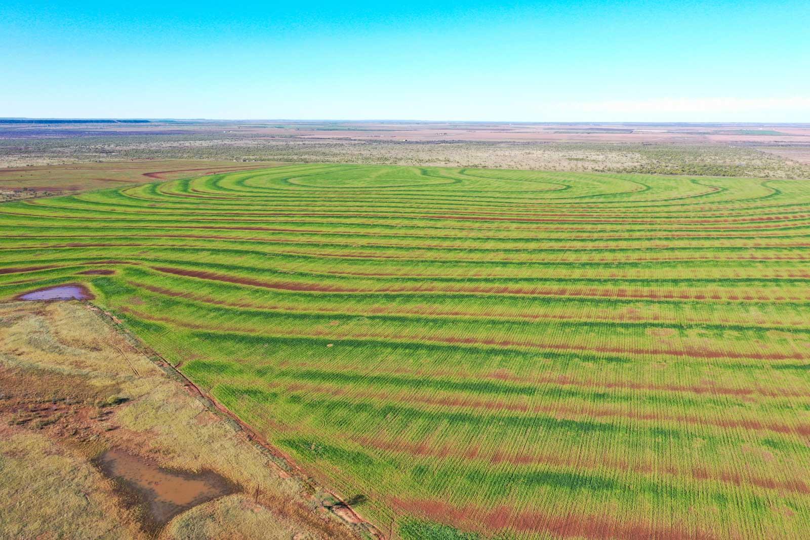 Swenson Family Flat Top Ranch | Chas S. Middleton