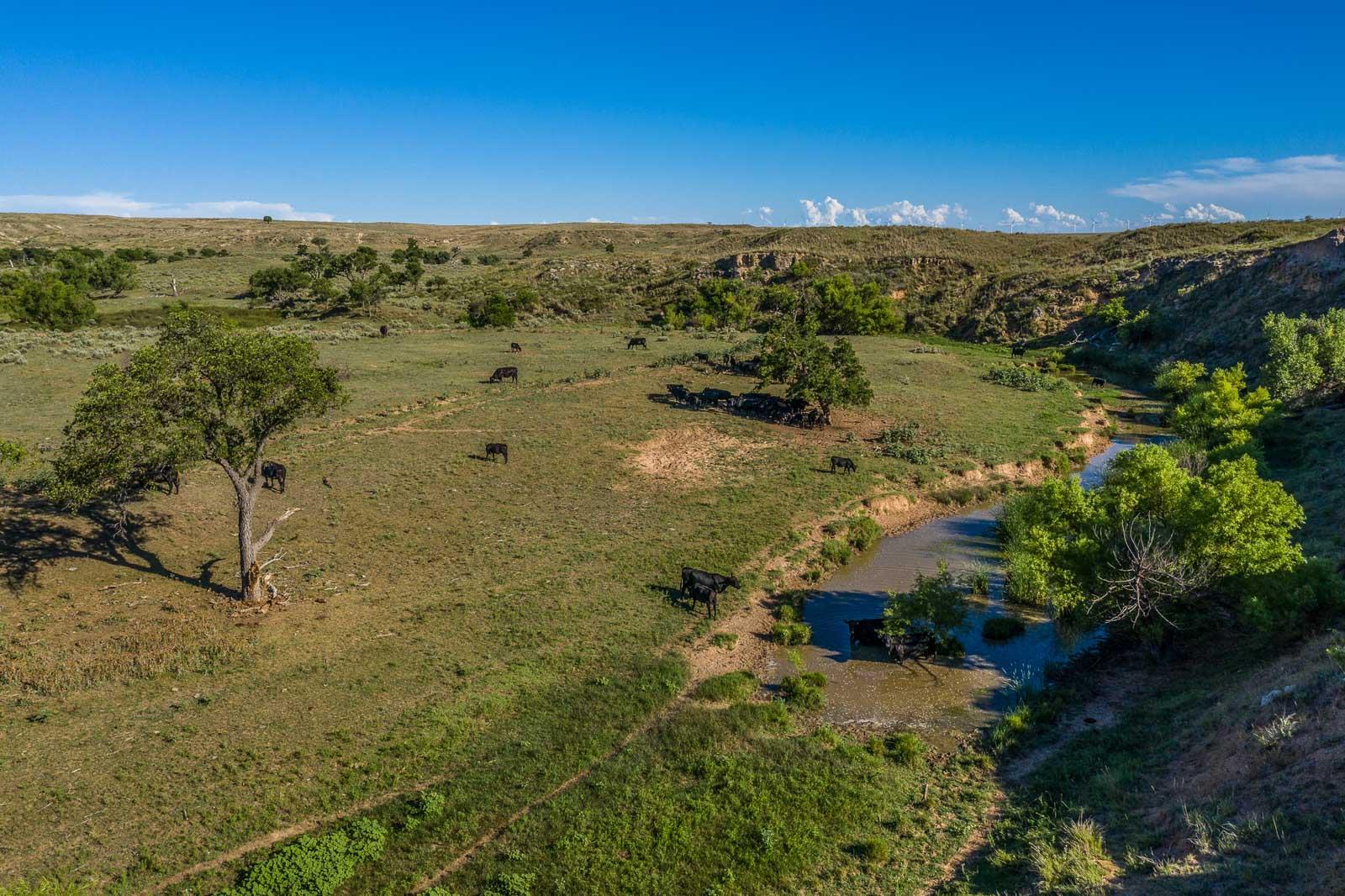 6666 Dixon Creek Ranch Division | Chas S. Middleton