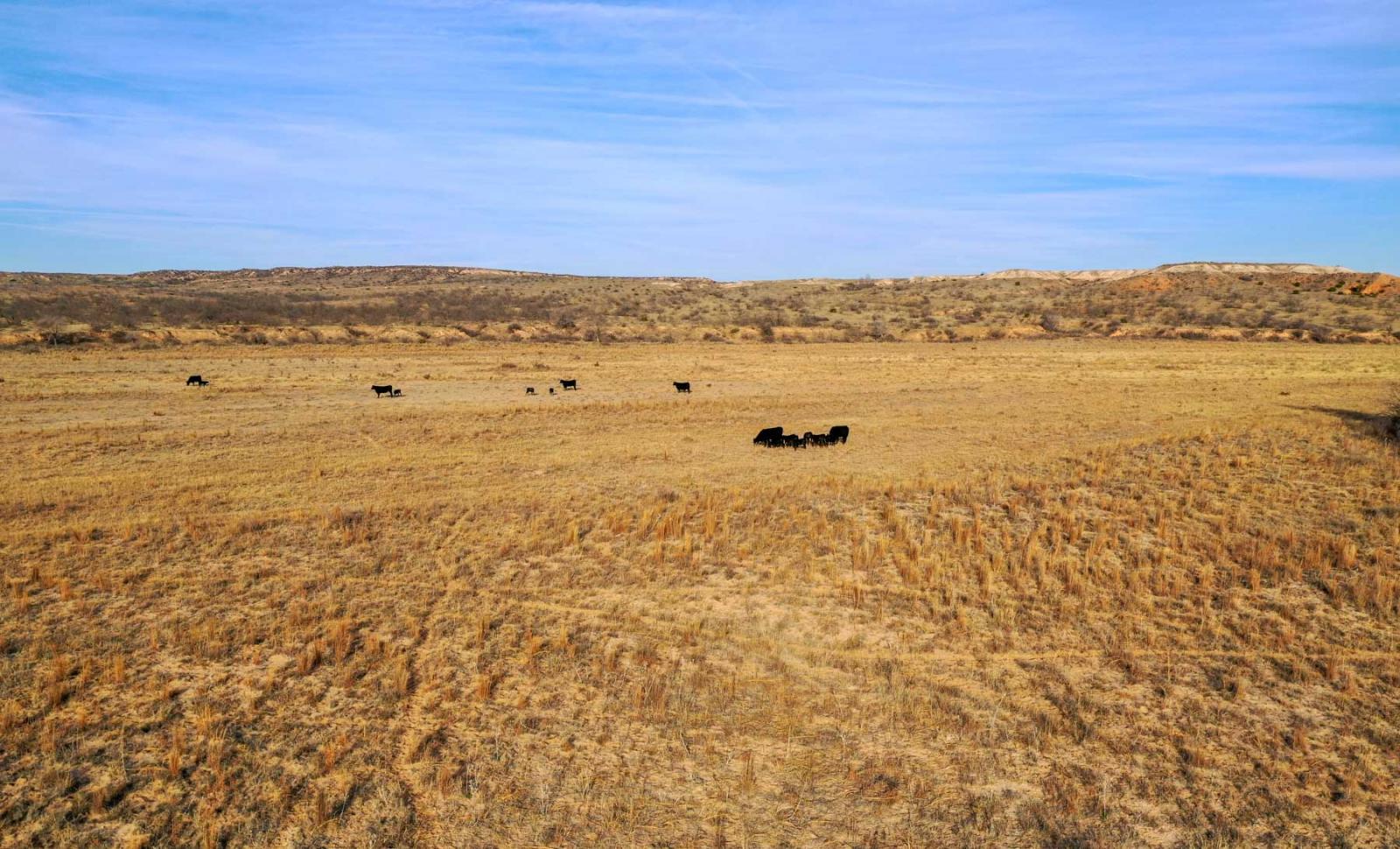 RO Ranch | Chas S. Middleton