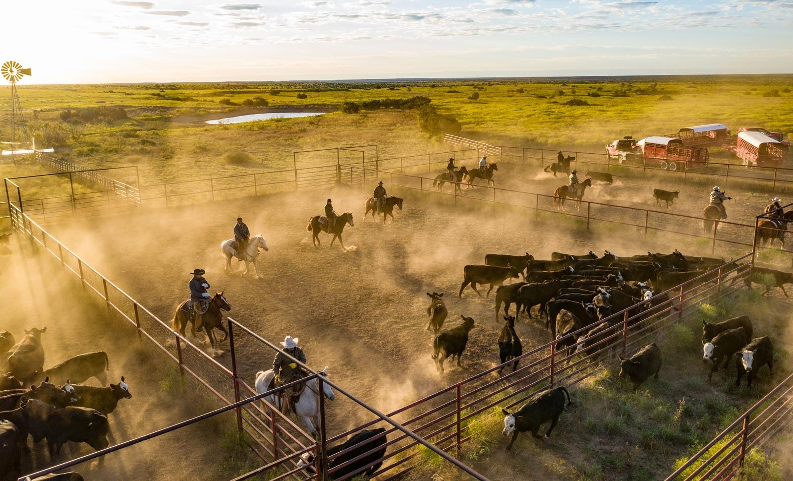 6666 Ranch | Chas S. Middleton