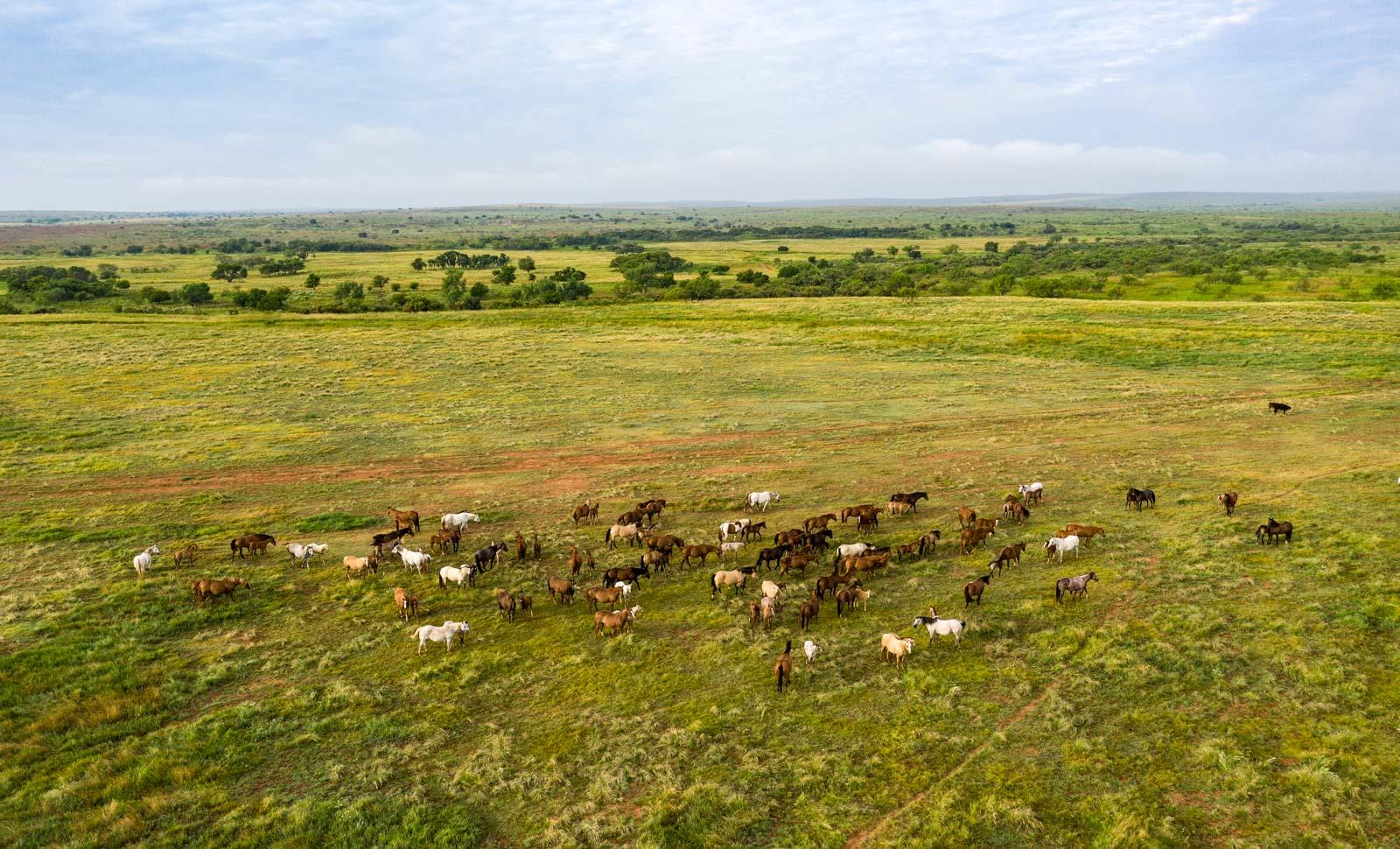 6666 Ranch | Chas S. Middleton