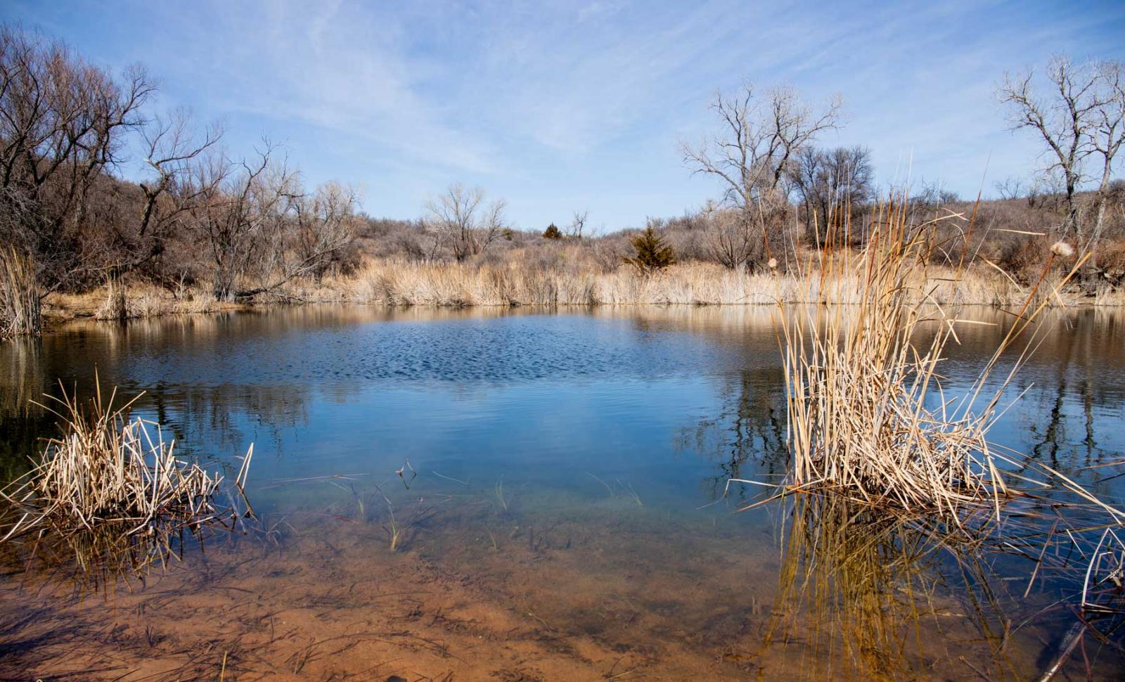 RO Ranch | Chas S. Middleton