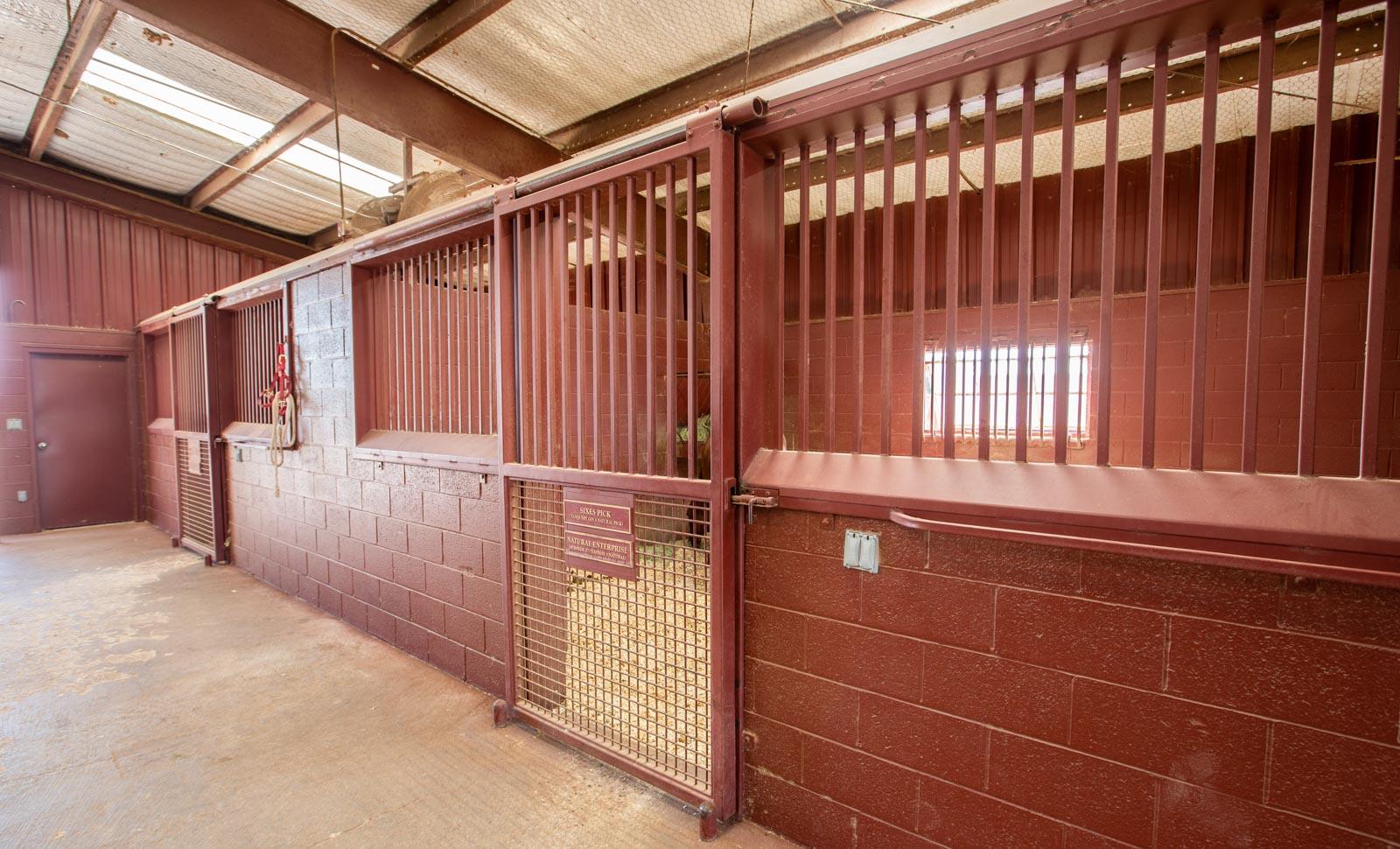 6666 Ranch | Chas S. Middleton