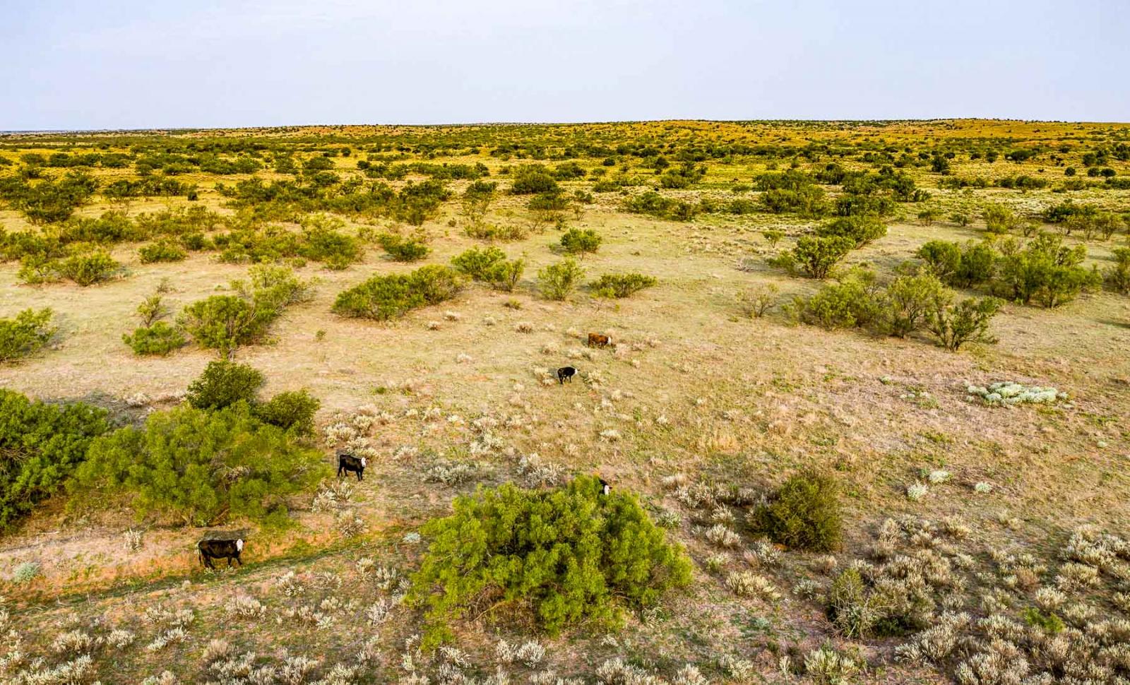 Matador Ranch | Chas S. Middleton