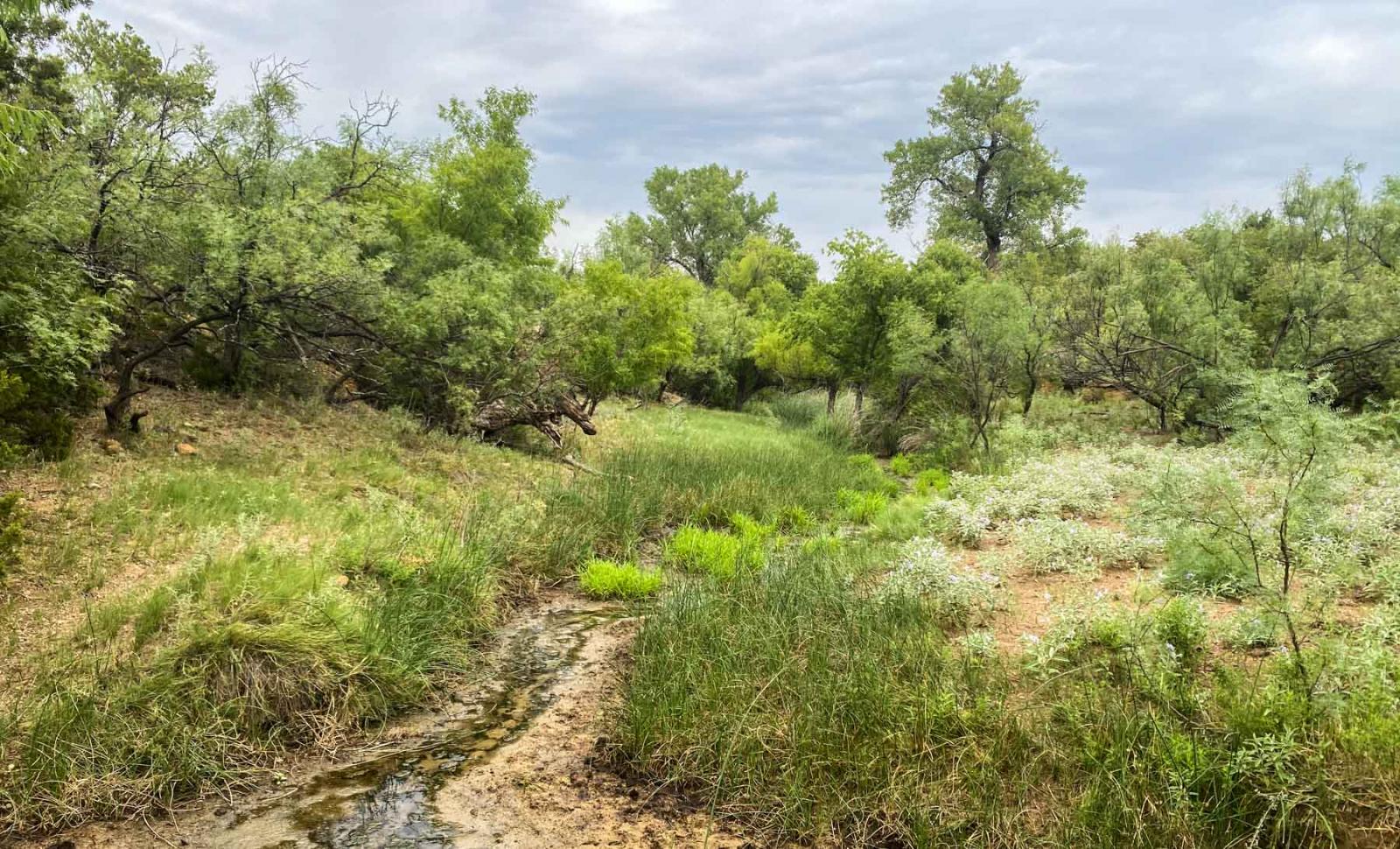 Matador Ranch | Chas S. Middleton