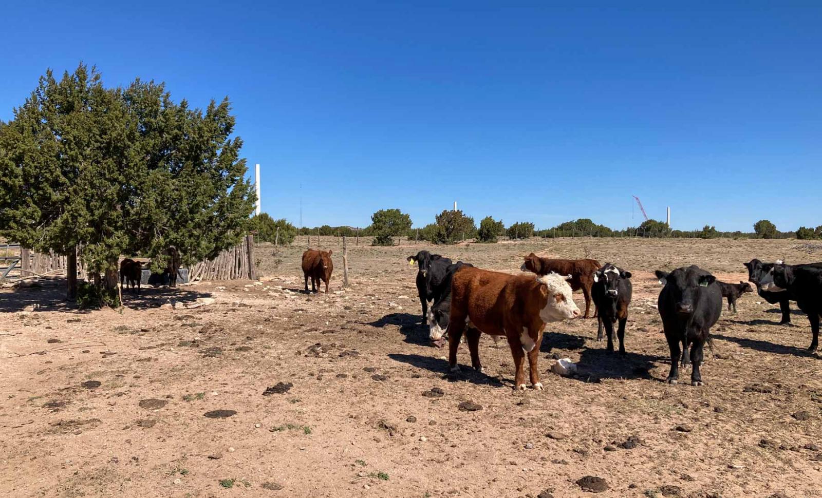 Duran Energy Ranch | Chas S. Middleton