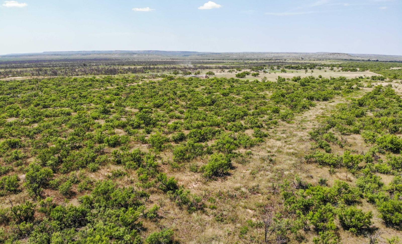 Thomas Ranch | Chas S. Middleton