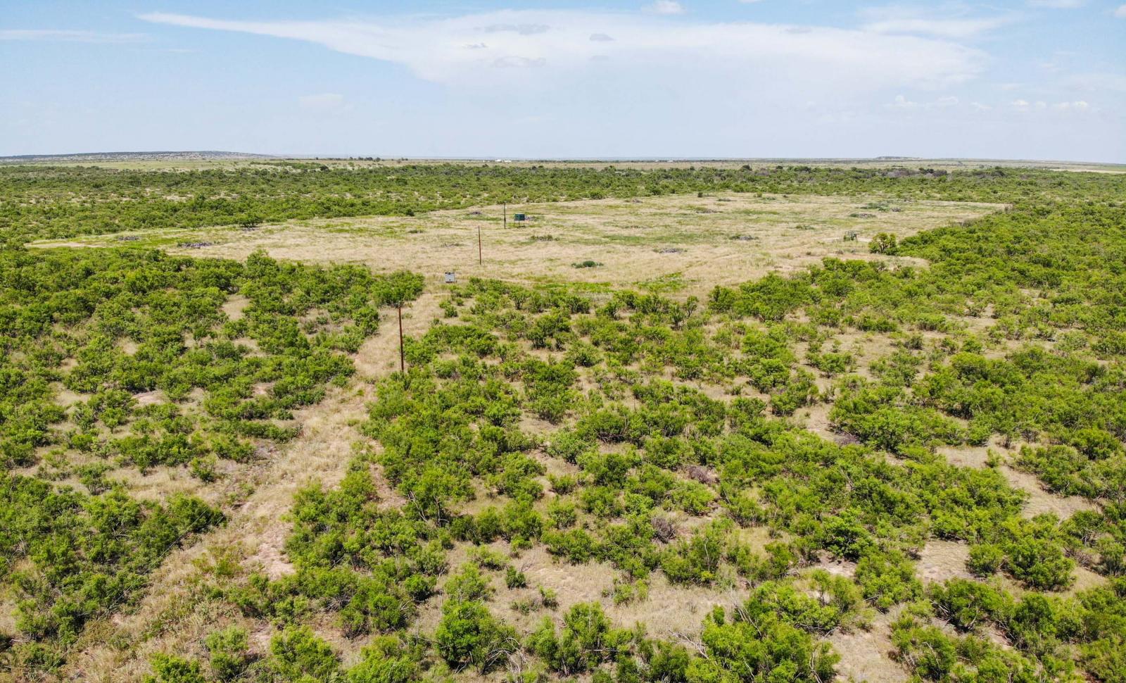 Thomas Ranch | Chas S. Middleton