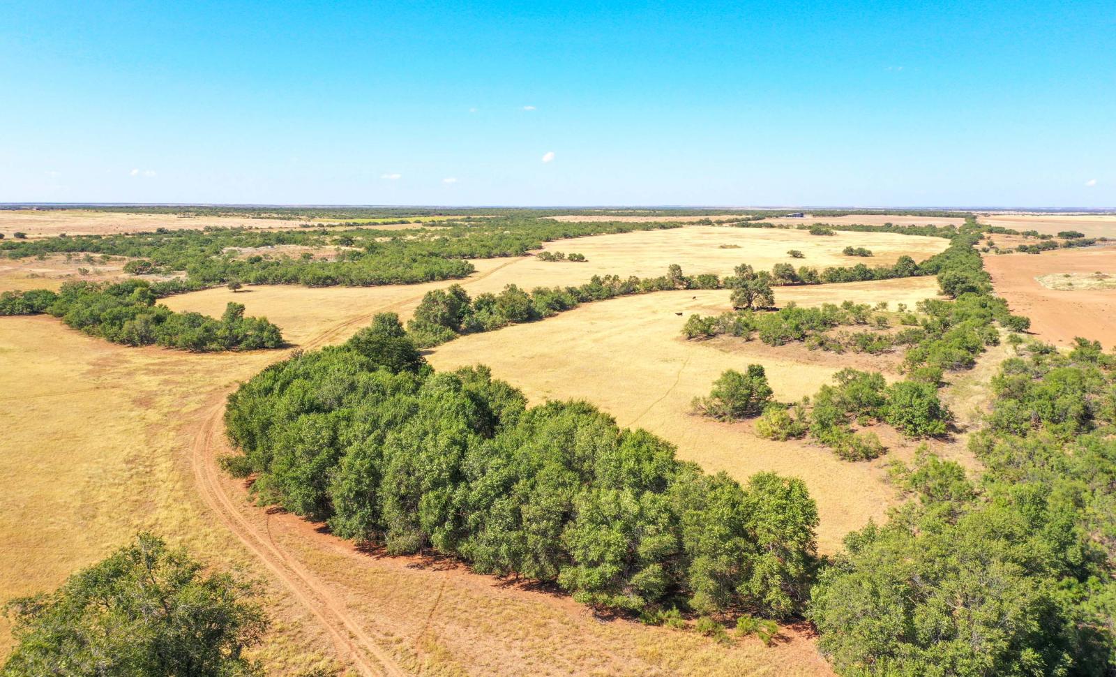 Clearview River Ranch | Chas S. Middleton