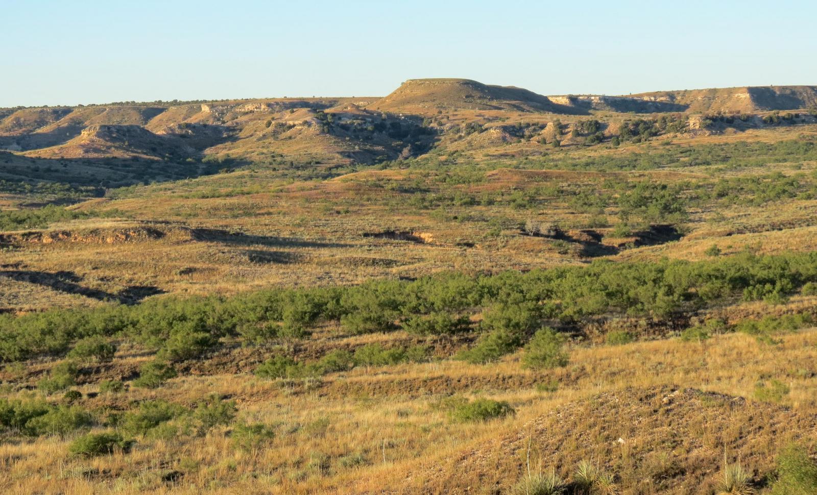 East Division - Boone Pickens' Mesa Vista Ranch | Chas S. Middleton