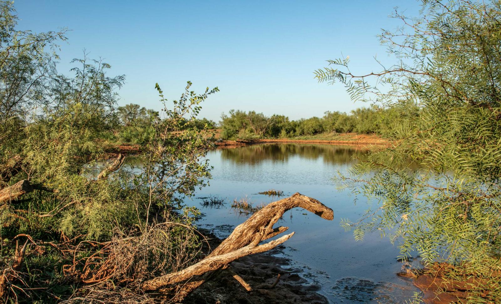 King County Big Pasture Ranch | Chas S. Middleton