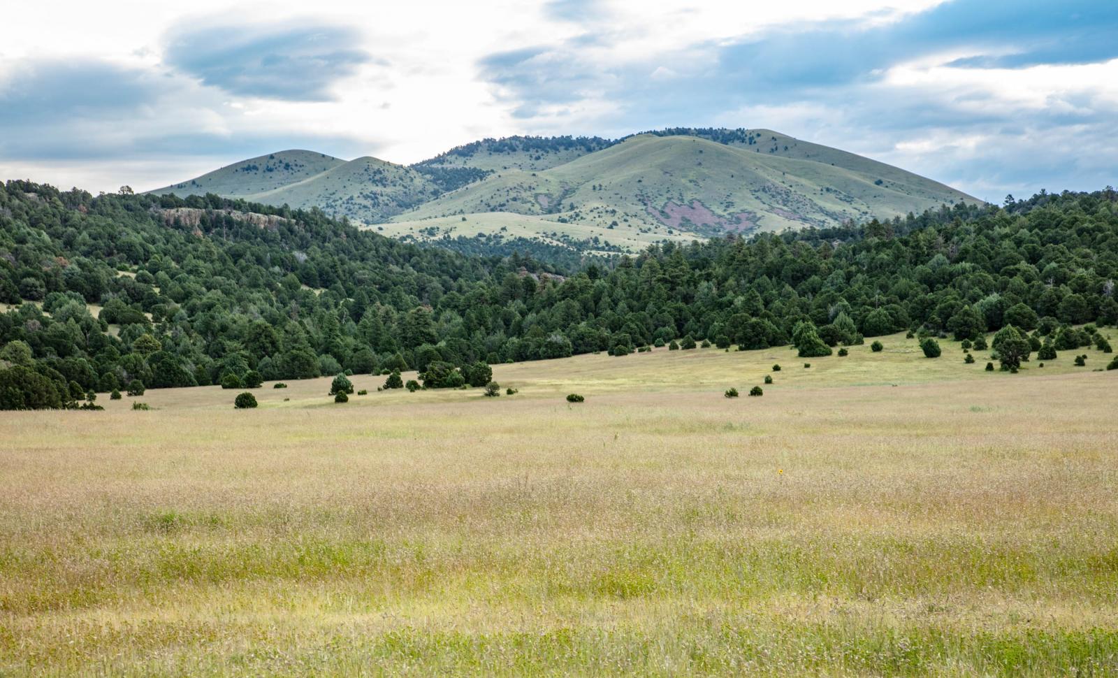 Laughlin Peak Ranch | Chas S. Middleton
