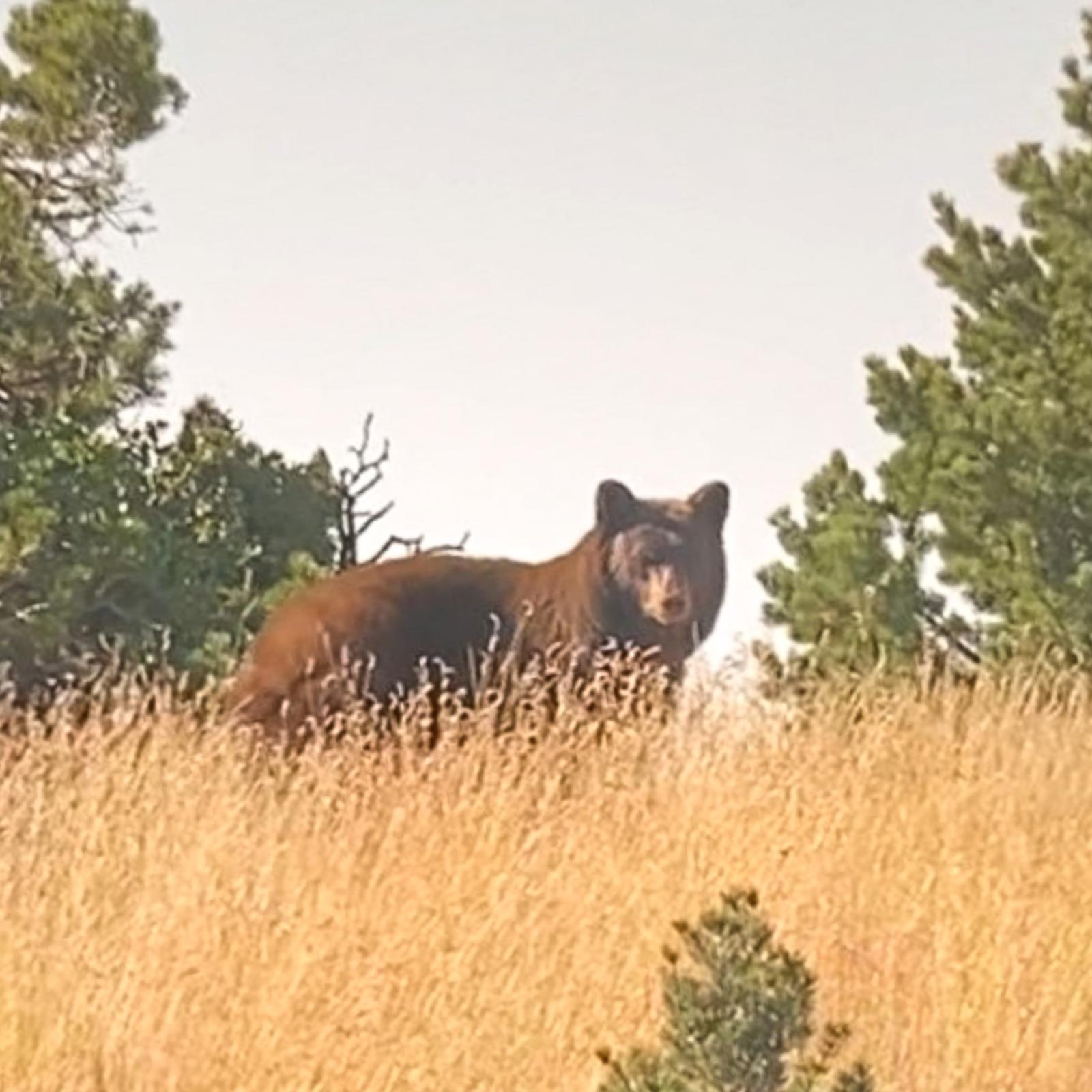 Laughlin Peak Ranch | Chas S. Middleton
