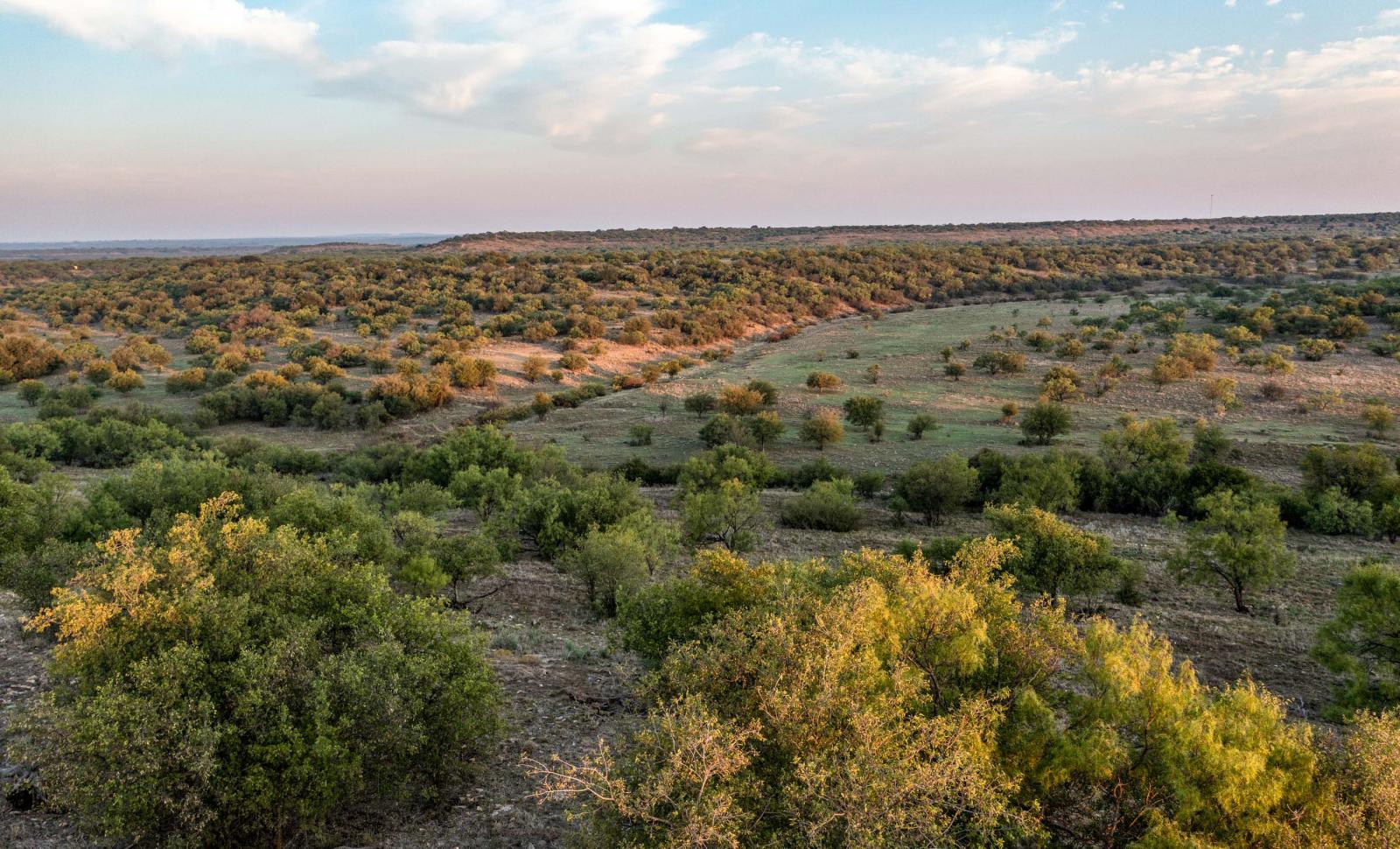 Silverbrook-Pecan Bayou Ranch | Chas S. Middleton