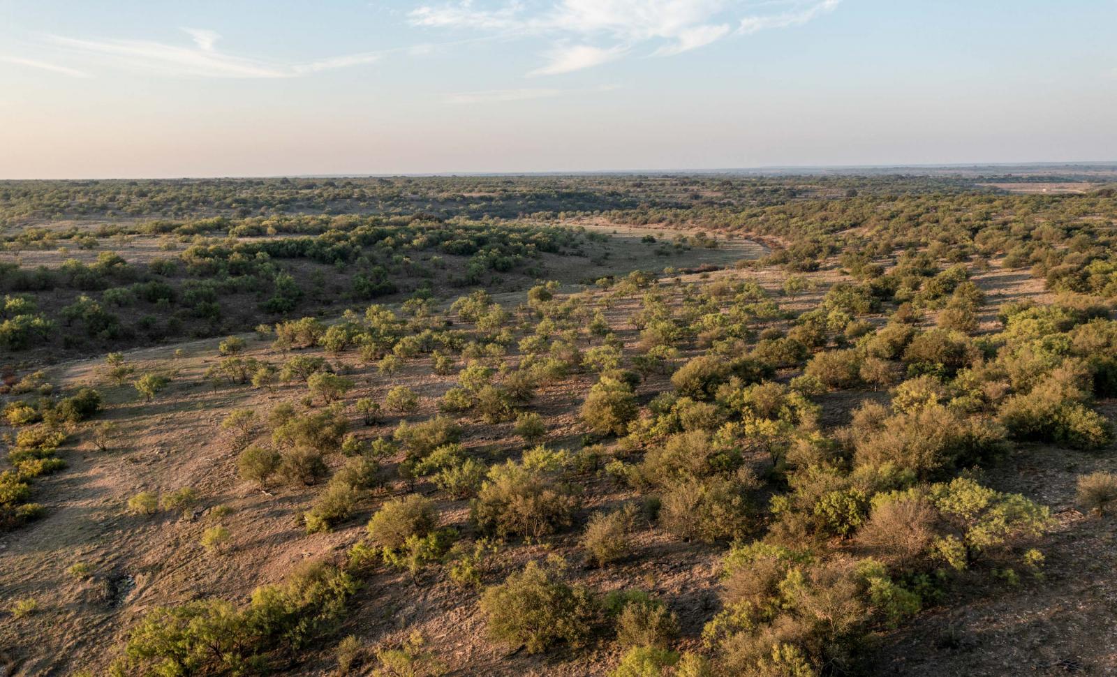 Silverbrook-Pecan Bayou Ranch | Chas S. Middleton