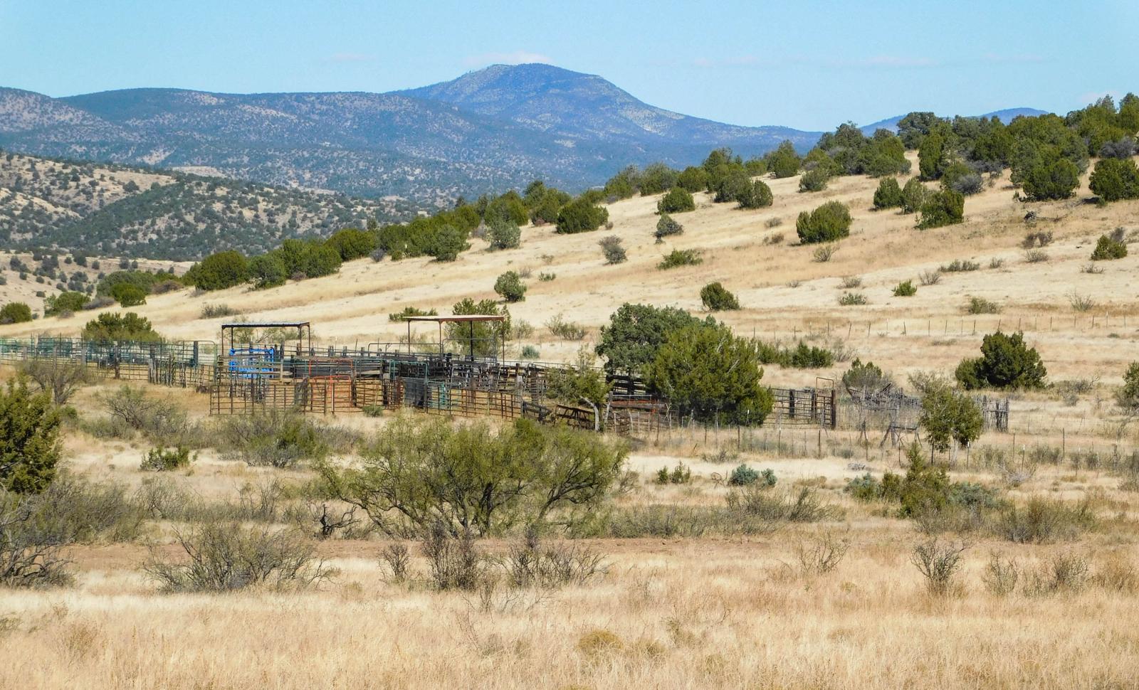 L Bar H Ranch | Chas S. Middleton