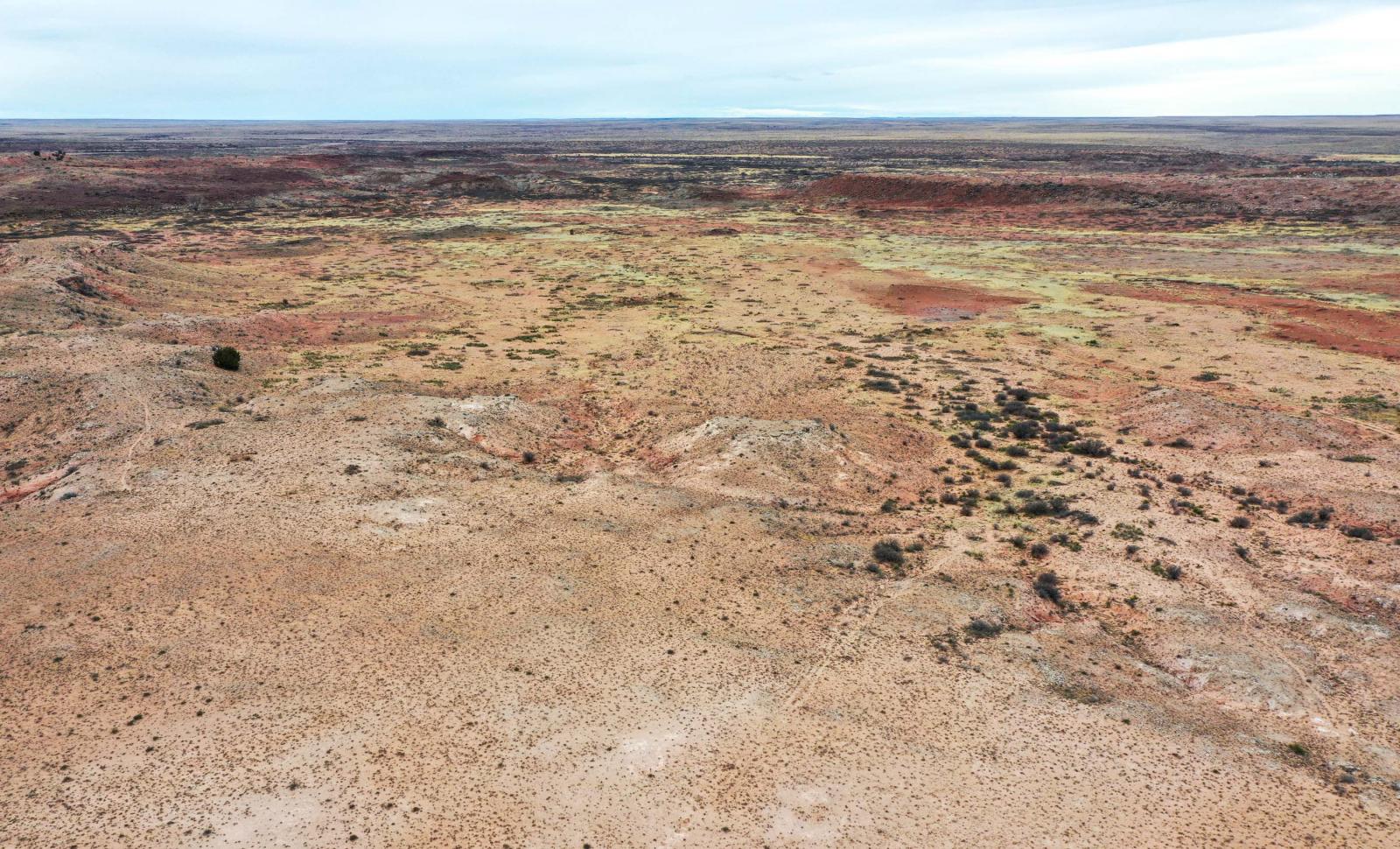 Pecos River Ranch | Chas S. Middleton