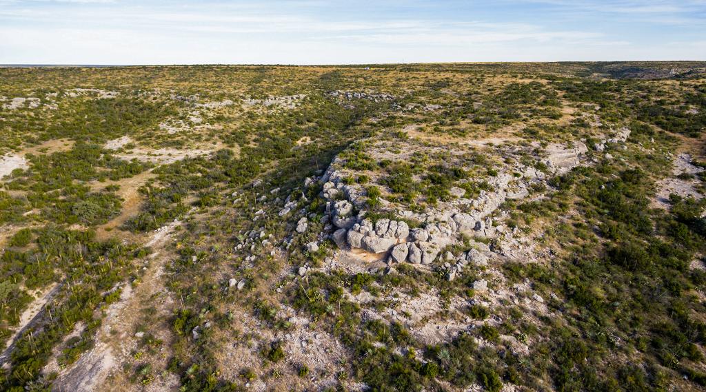 Cerf Pasture of the Longfellow Ranch | Chas S. Middleton