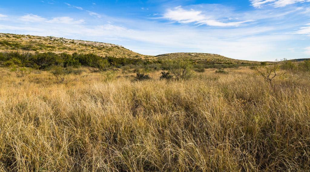 Cerf Pasture of the Longfellow Ranch | Chas S. Middleton