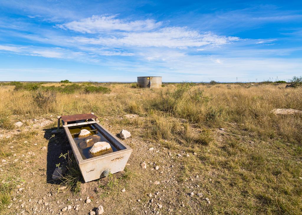 Cerf Pasture of the Longfellow Ranch | Chas S. Middleton