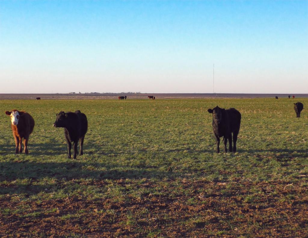 Swenson Family Flat Top Ranch | Chas S. Middleton