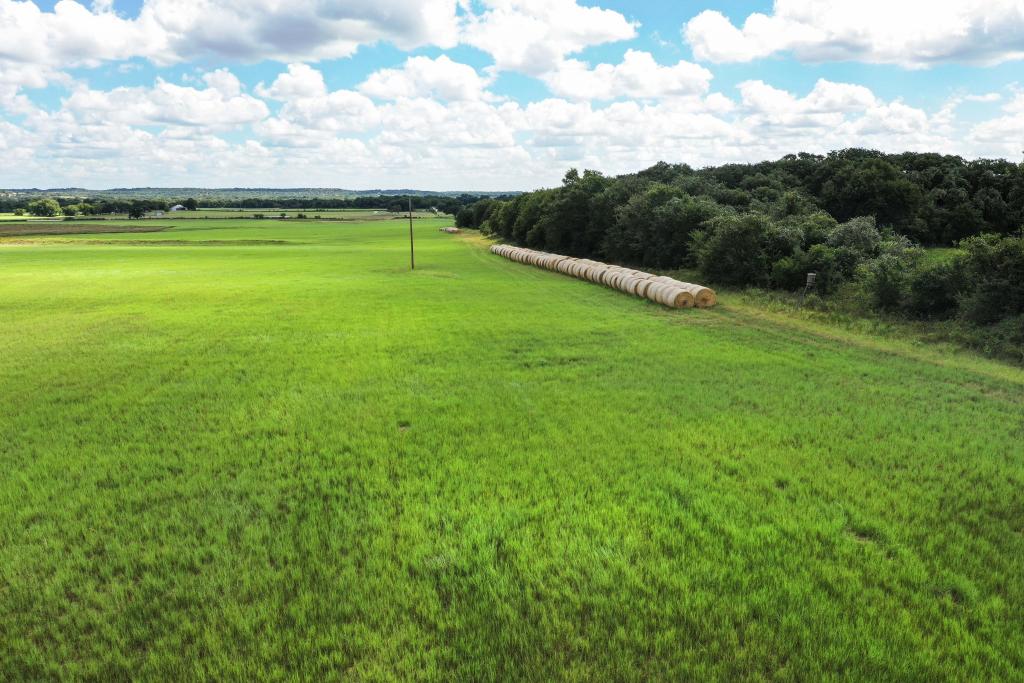 Morgan Mill Tract 68.83 | Chas S. Middleton