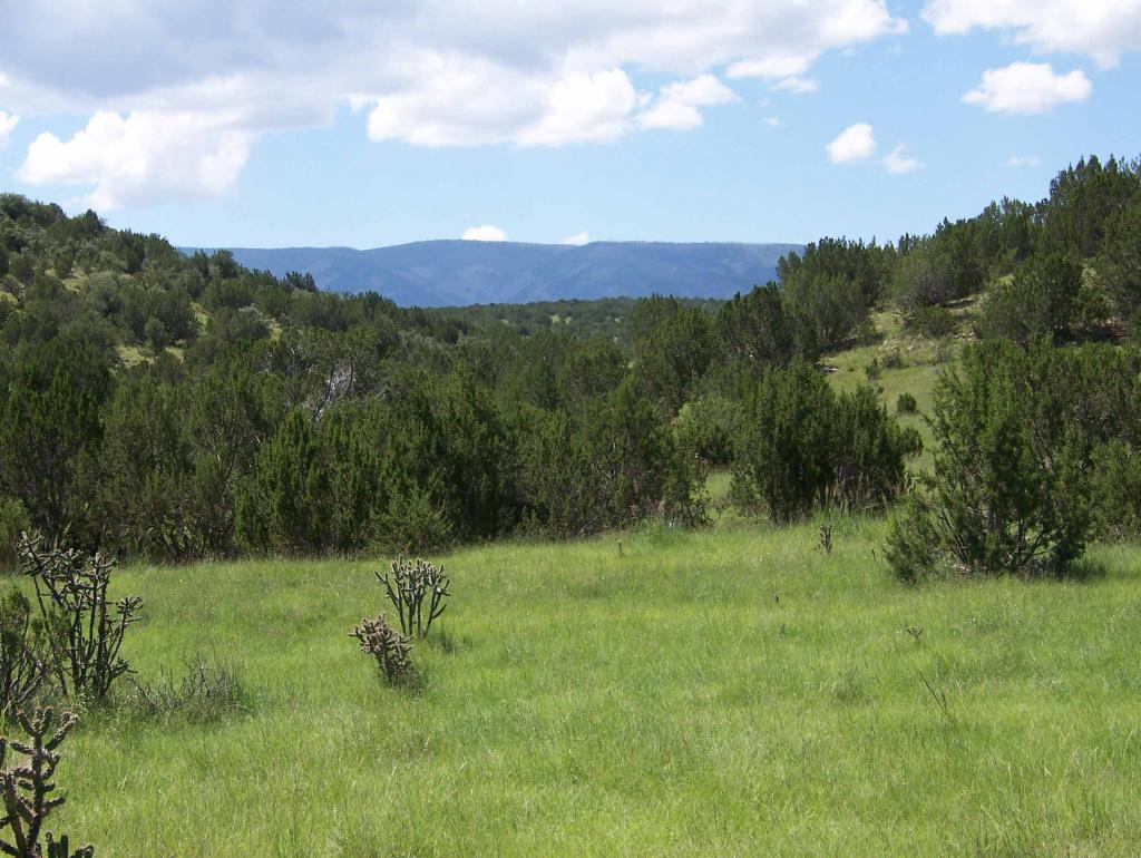 Block Ranch | Chas S. Middleton