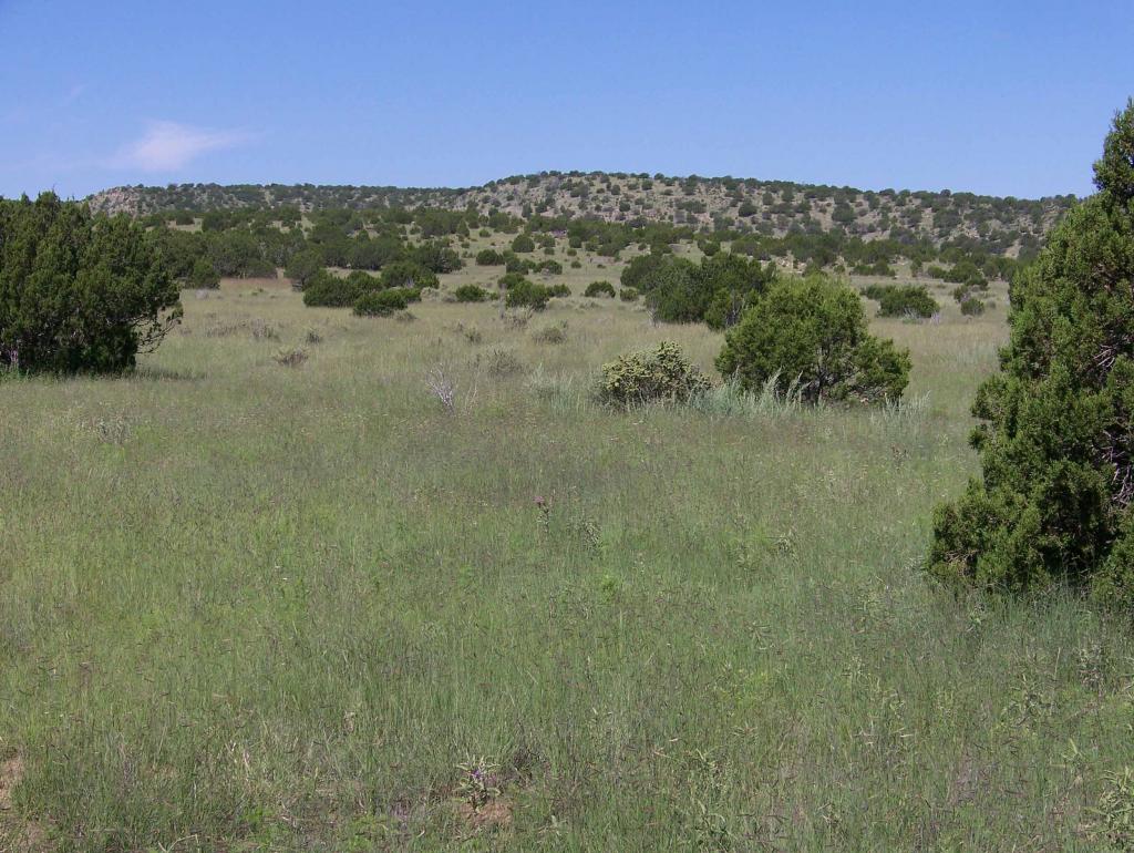 Block Ranch | Chas S. Middleton