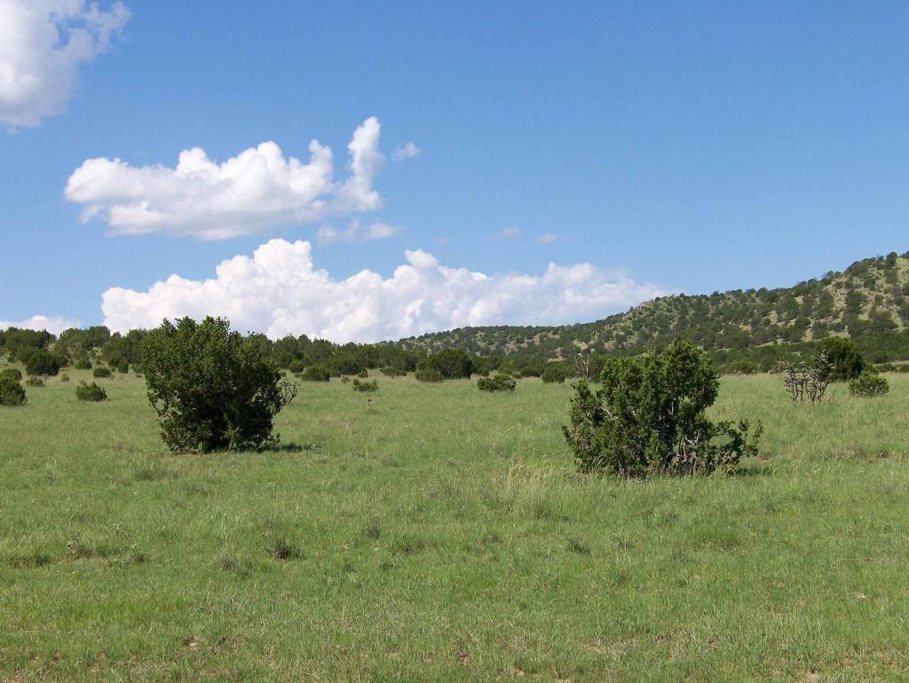 Block Ranch | Chas S. Middleton