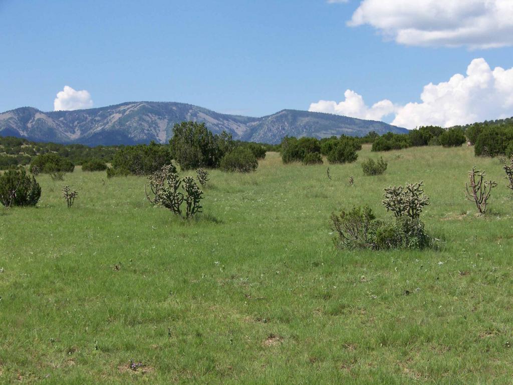 Block Ranch | Chas S. Middleton