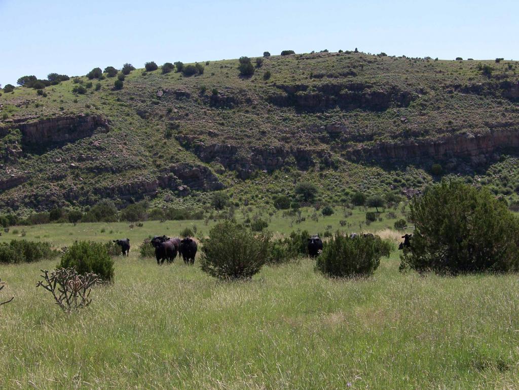 Block Ranch | Chas S. Middleton