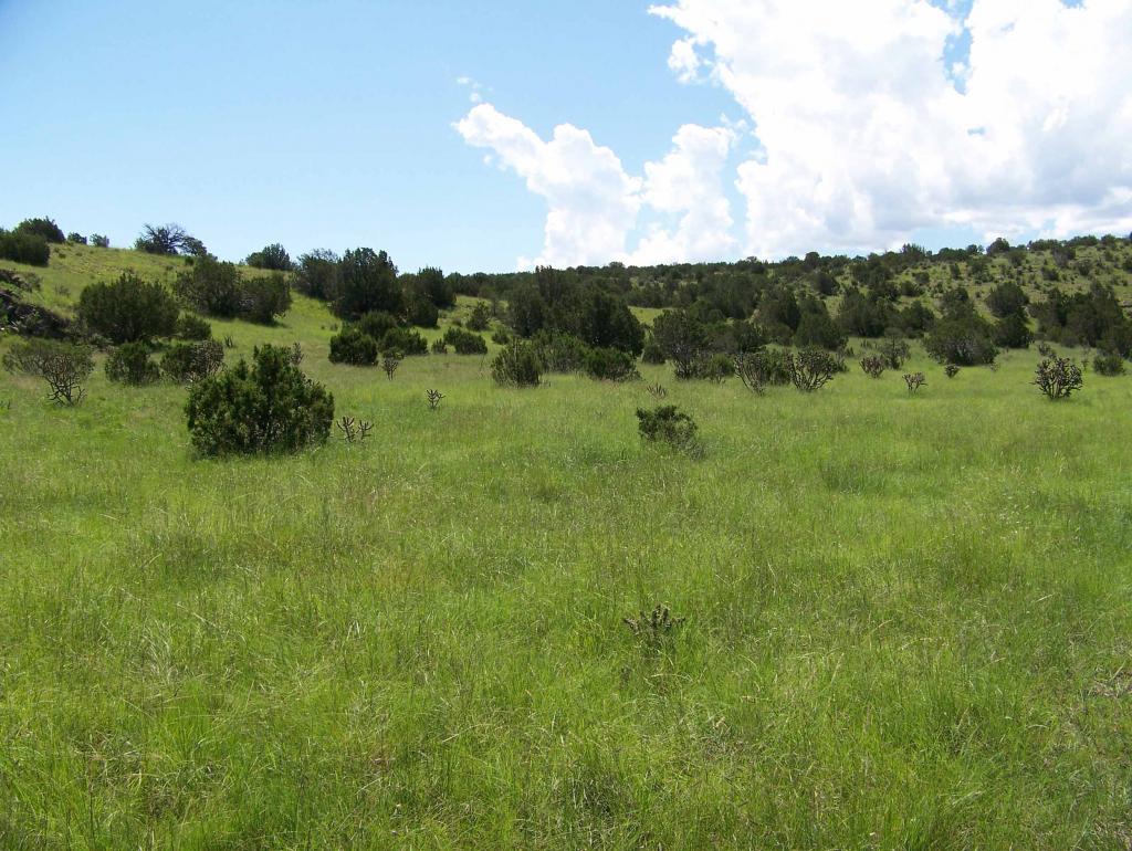 Block Ranch | Chas S. Middleton