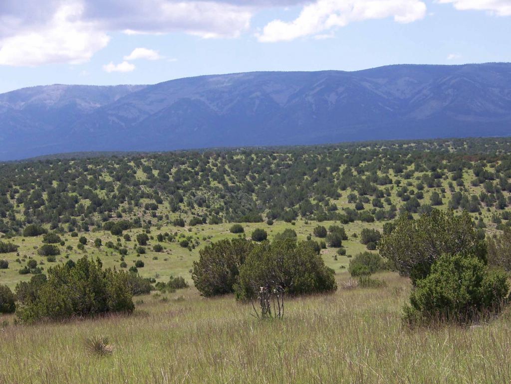 Block Ranch | Chas S. Middleton