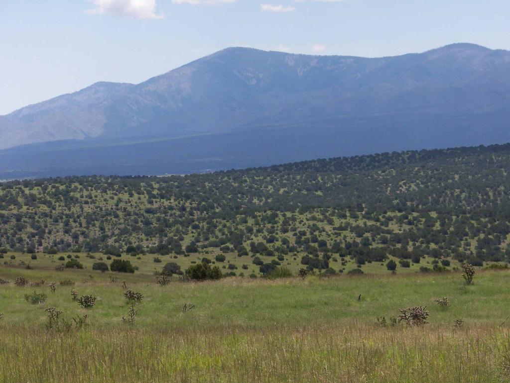 Block Ranch | Chas S. Middleton