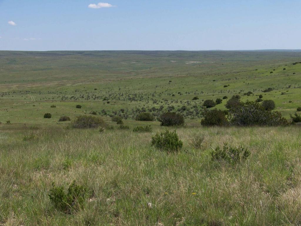 Block Ranch | Chas S. Middleton