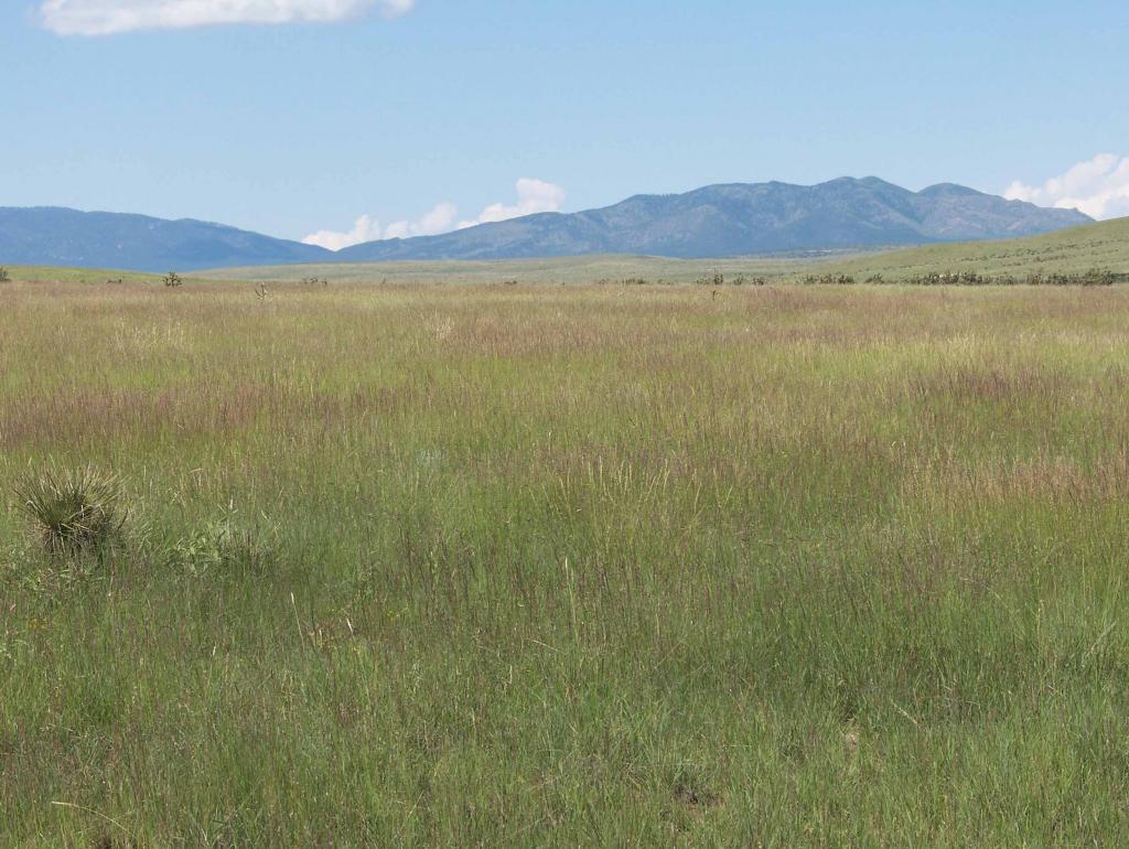 Block Ranch | Chas S. Middleton