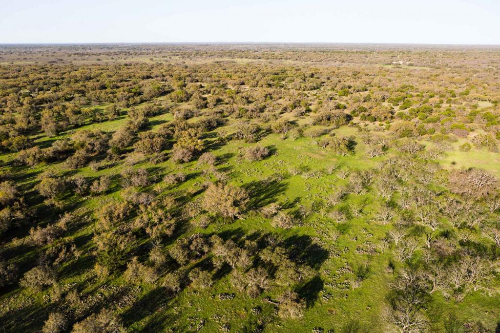 Ford Ranch | Chas S. Middleton