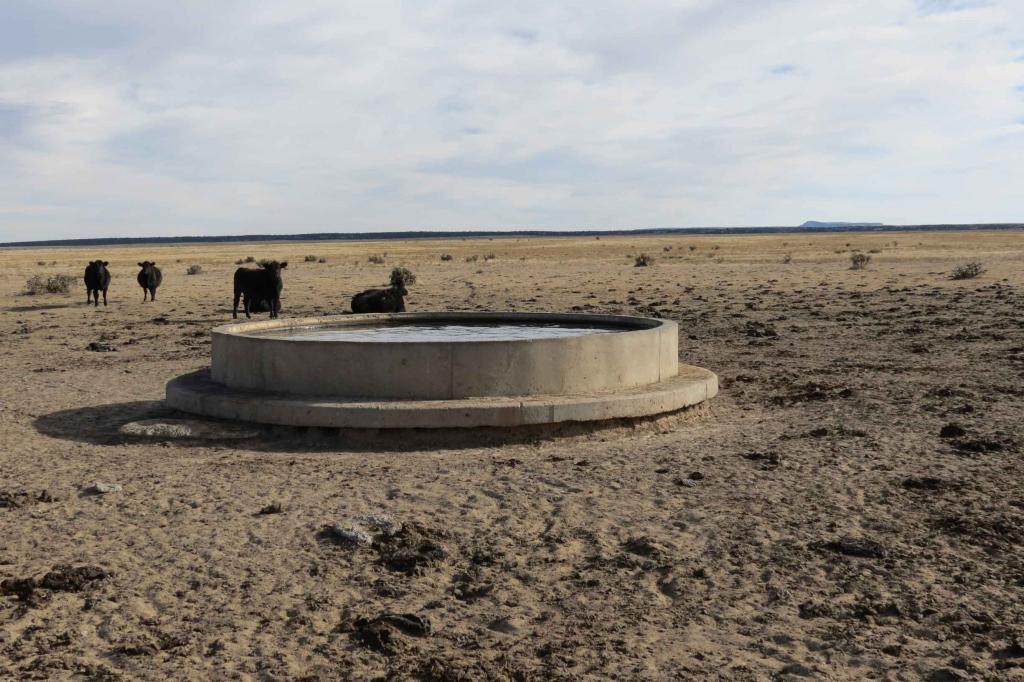 Acme Trinchera Creek Ranch | Chas S. Middleton