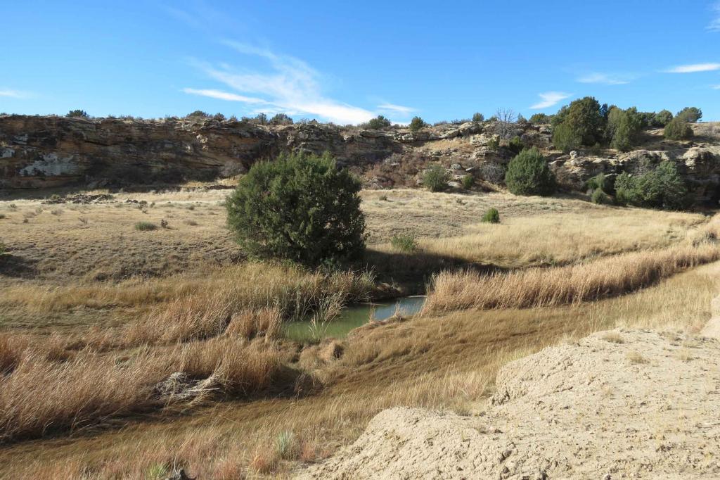 Acme Trinchera Creek Ranch | Chas S. Middleton