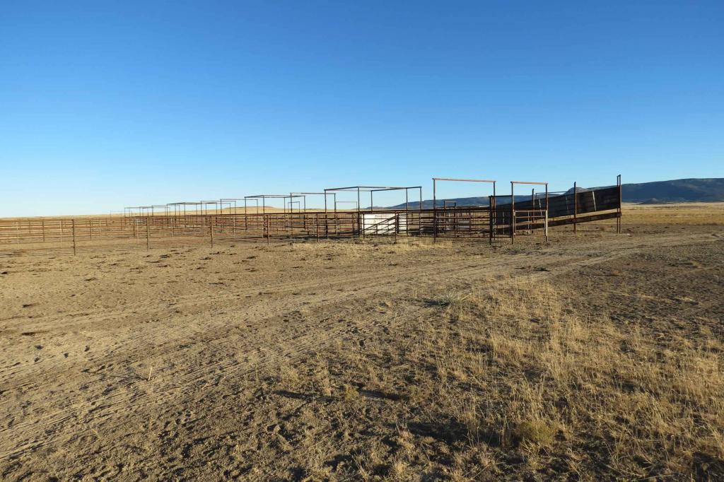 Acme Trinchera Creek Ranch | Chas S. Middleton