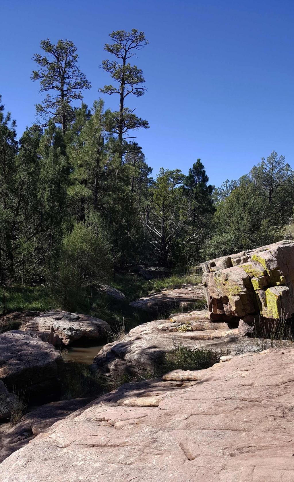 Jones East Ranch | Chas S. Middleton