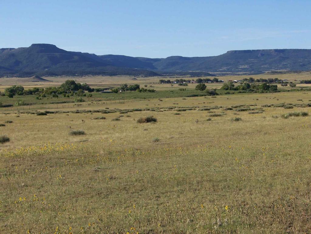 Mock Trinchera Creek Ranch | Chas S. Middleton